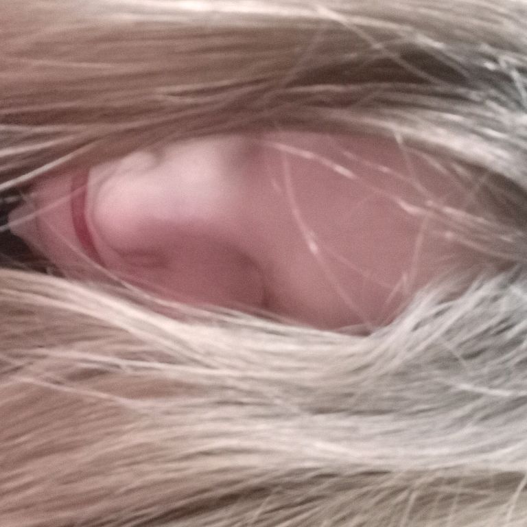 Иконка канала Кристал Бристал