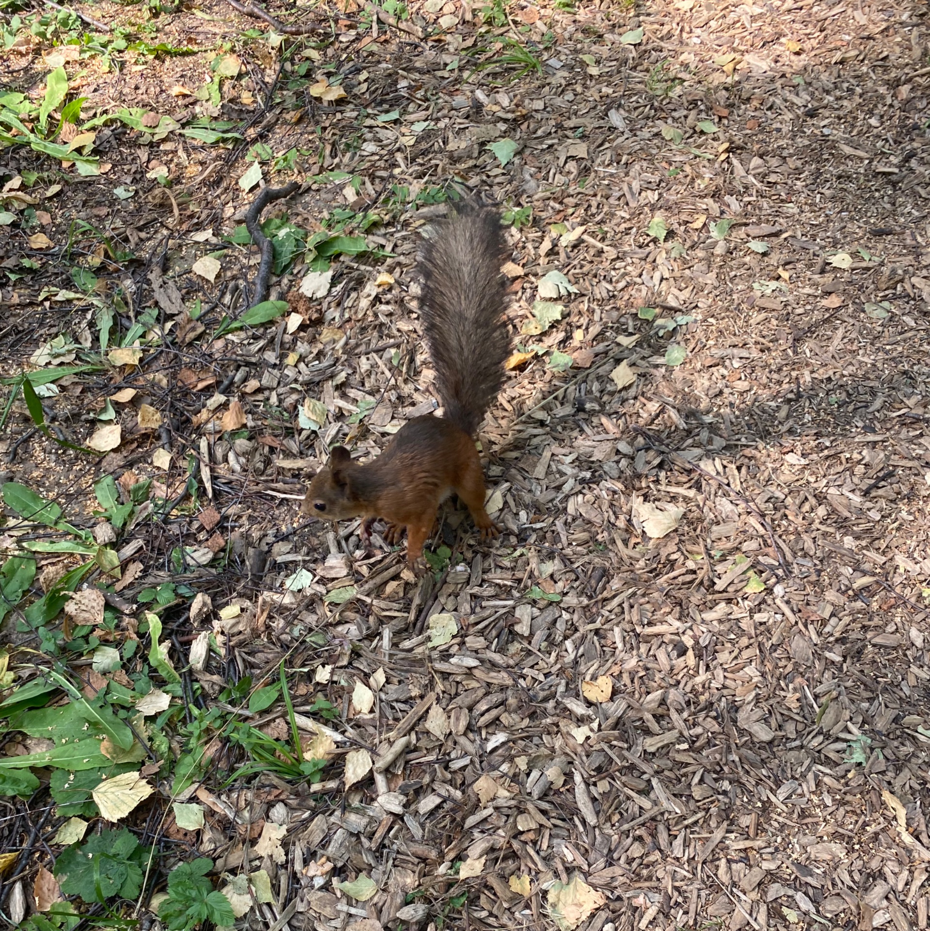 Иконка канала Твердое тело