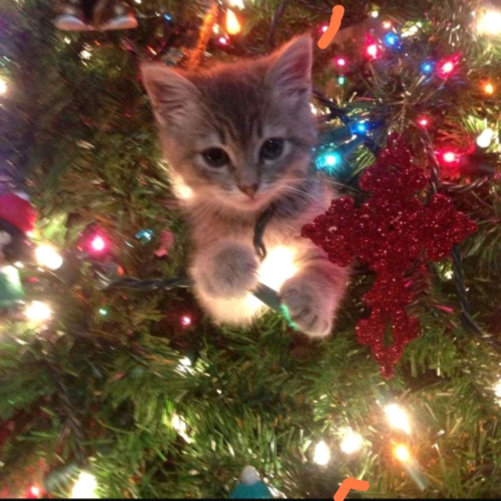 Иконка канала Кирилл12345678910