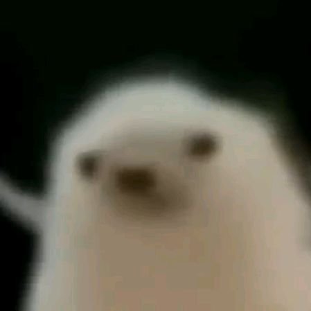 Иконка канала Канал Саша