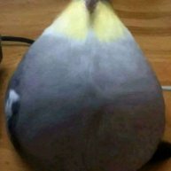 Иконка канала ItsTortik