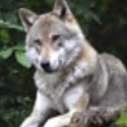 Иконка канала Музыка для всех