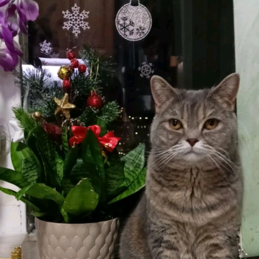 Иконка канала Вадик