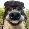 Иконка канала Забава и Ржака