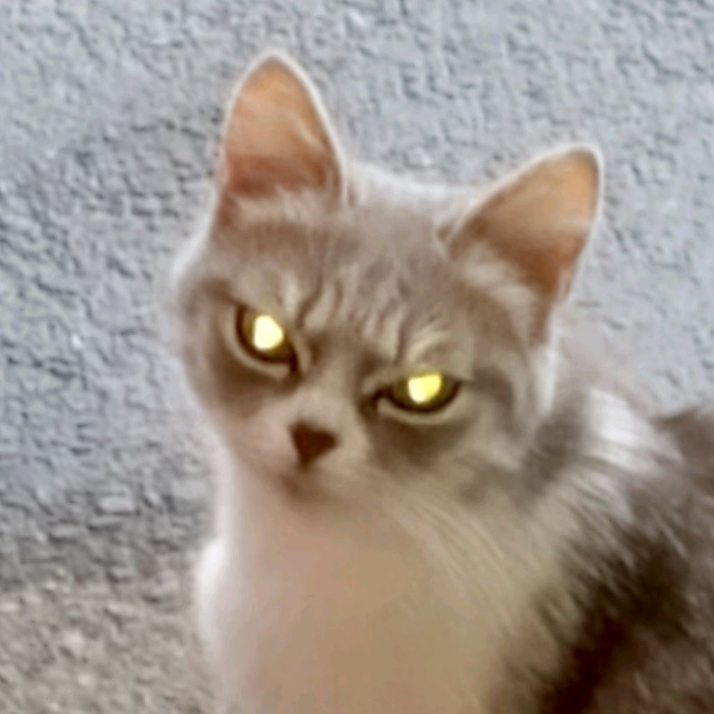 Иконка канала Нейромультики