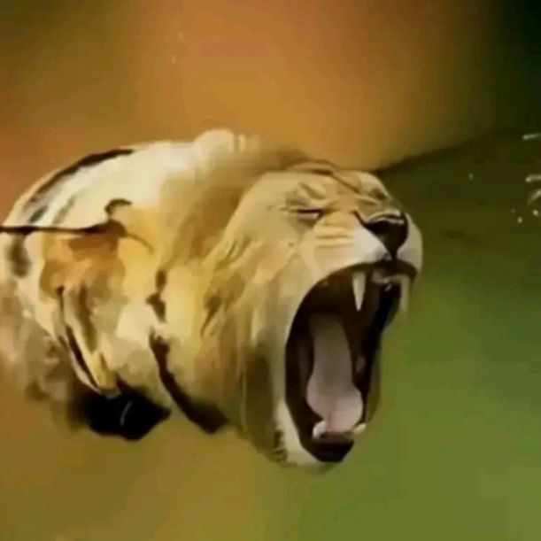 Иконка канала Pursuer