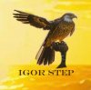 Иконка канала IgorStep
