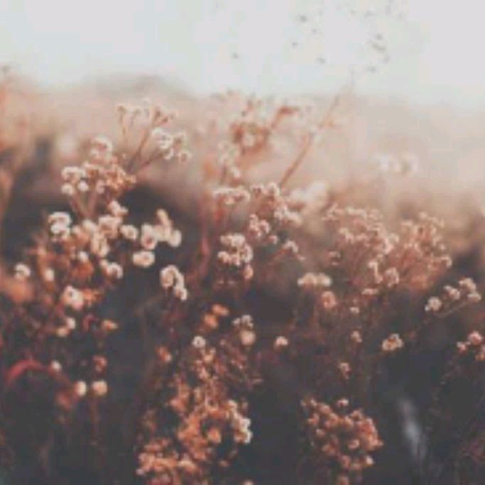 Иконка канала ♡❀𝓘𝓿𝓪𝓷𝓷𝓪 𝓵𝓸𝓿𝓮❀♡