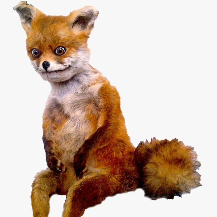 Иконка канала ЛиСоВ ТВ