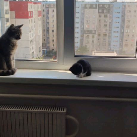 Иконка канала А-ну-погоди! 👋🏿