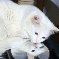 Иконка канала Венера Иванова