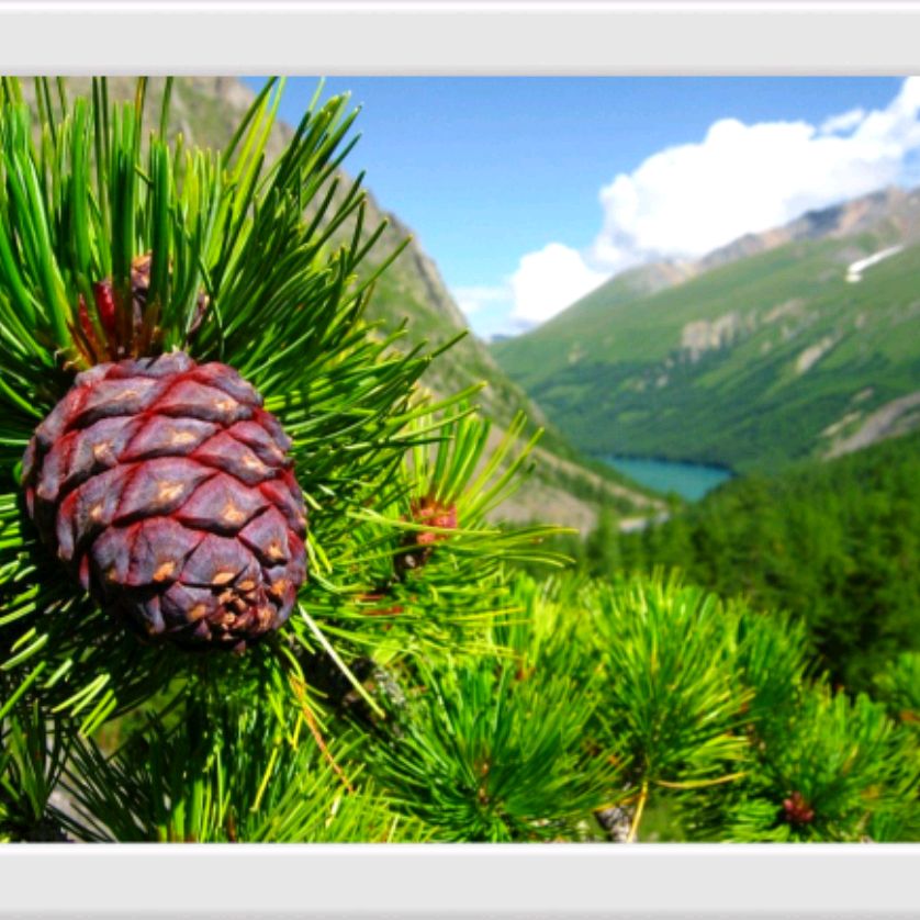 Иконка канала Иван-Иоанн