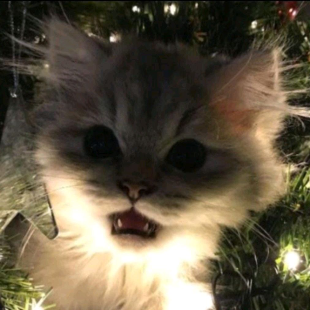 Иконка канала Nyan_cat