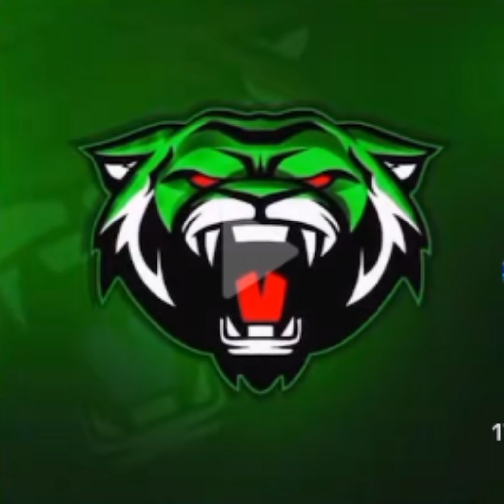 Иконка канала Левый