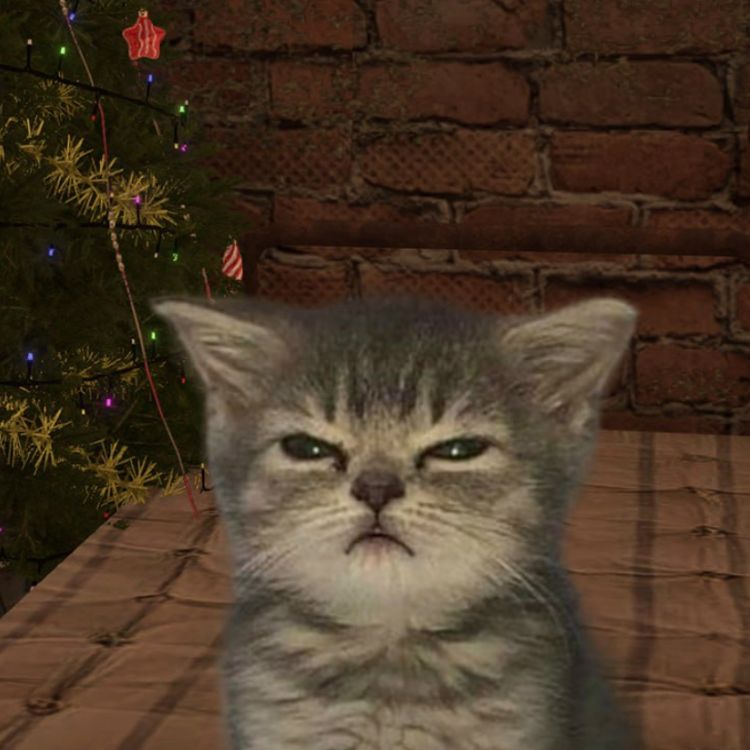 Иконка канала ANImaTor