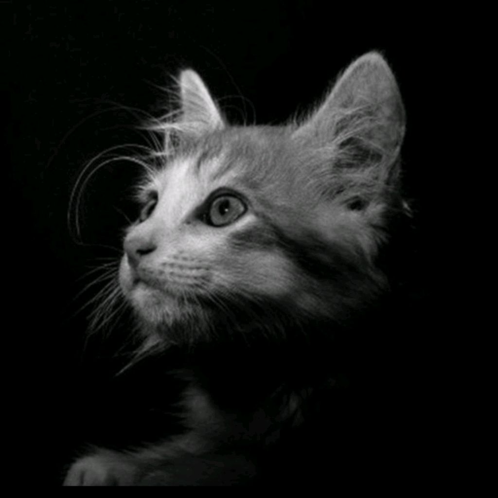 Иконка канала unknown