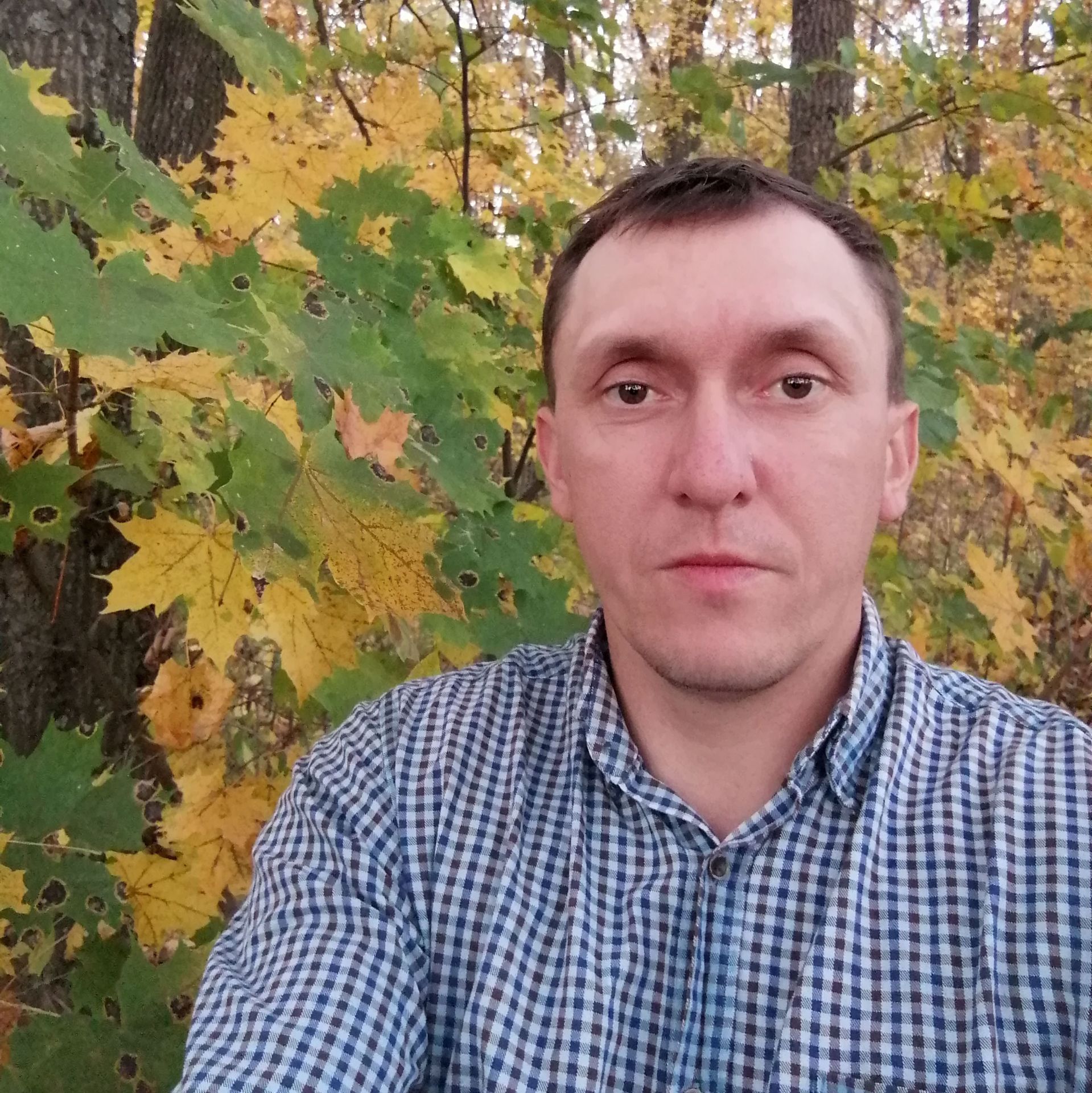 Иконка канала Творчество Души: Резьба по дереву и Таро