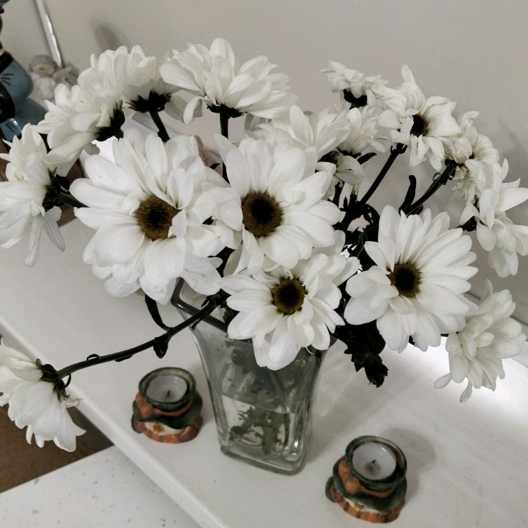 Иконка канала Вкусняшки для Стройняшки