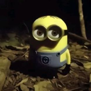 Иконка канала Вопросы без Ответов