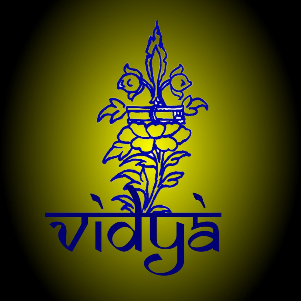 Иконка канала Vidya