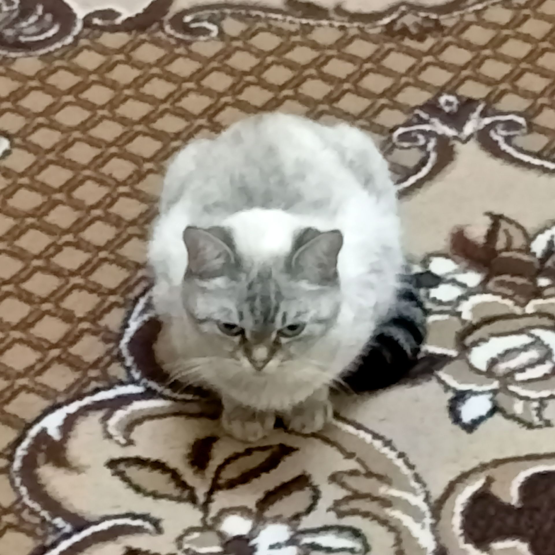 Иконка канала Busygames!