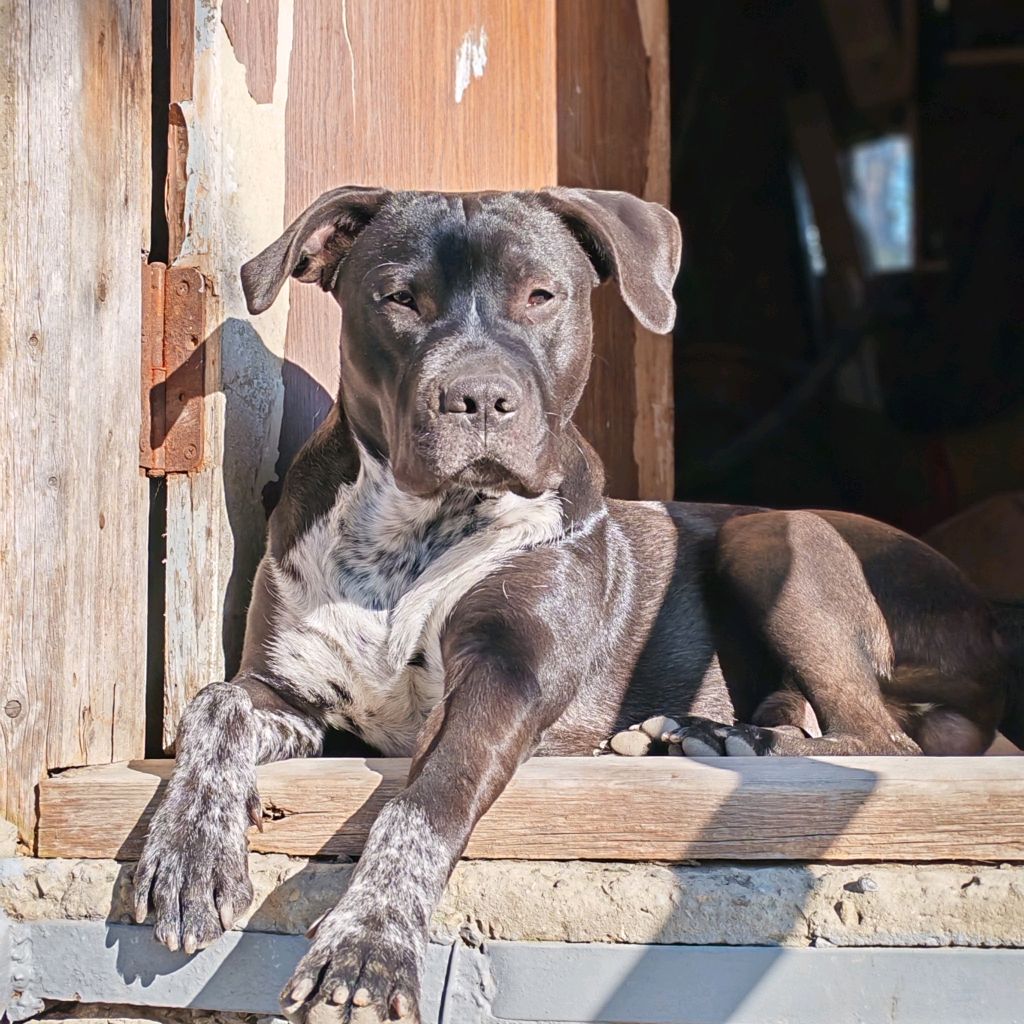 Иконка канала Bezrukova ❤️