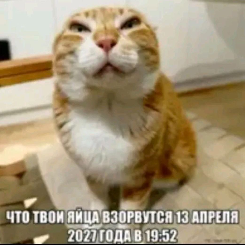 Иконка канала egor777vo