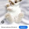 Иконка канала Из Бумаги Евa