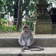 Иконка канала channel40426432