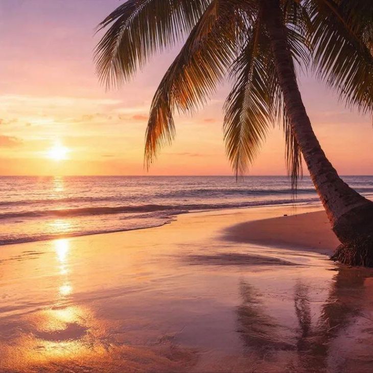 Иконка канала Music_Relax_KatrinArse