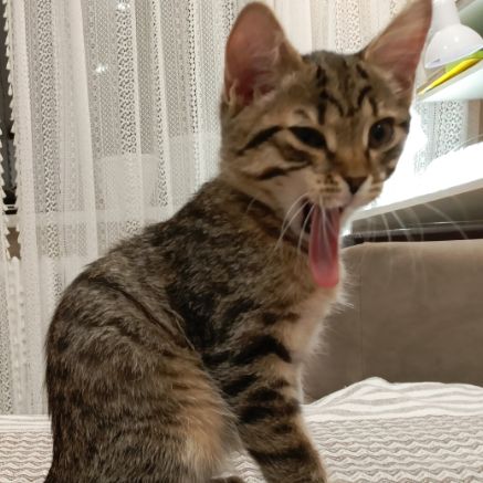 Иконка канала Ванек22rys