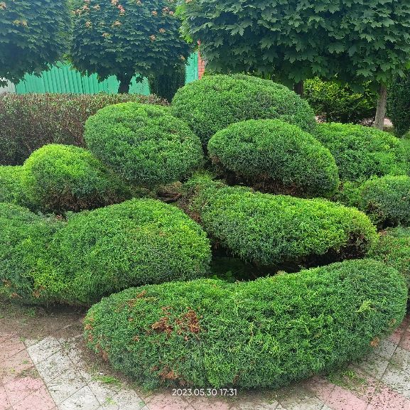 Иконка канала Алексей Стрижка Ростений