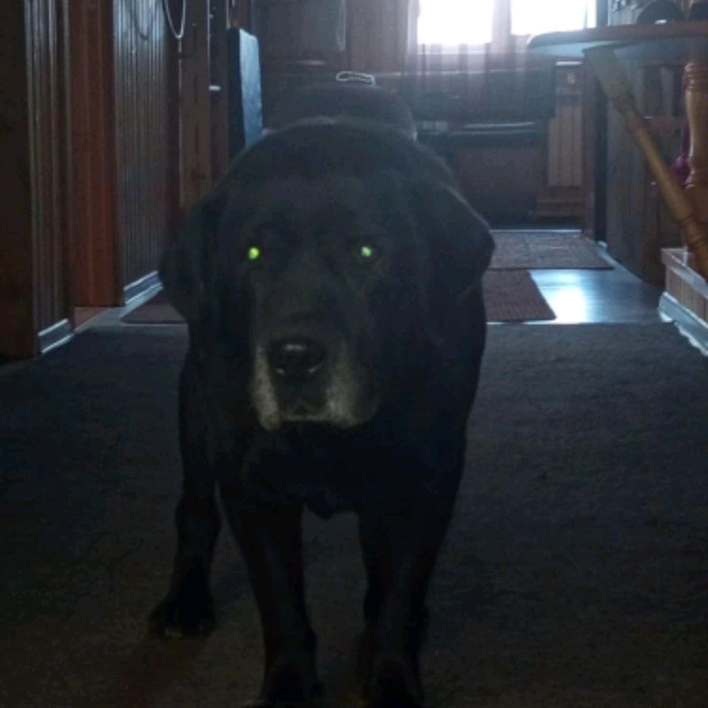 Иконка канала ❤️Vika❤️