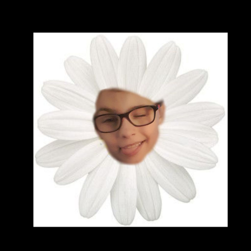 Иконка канала рОмашкА