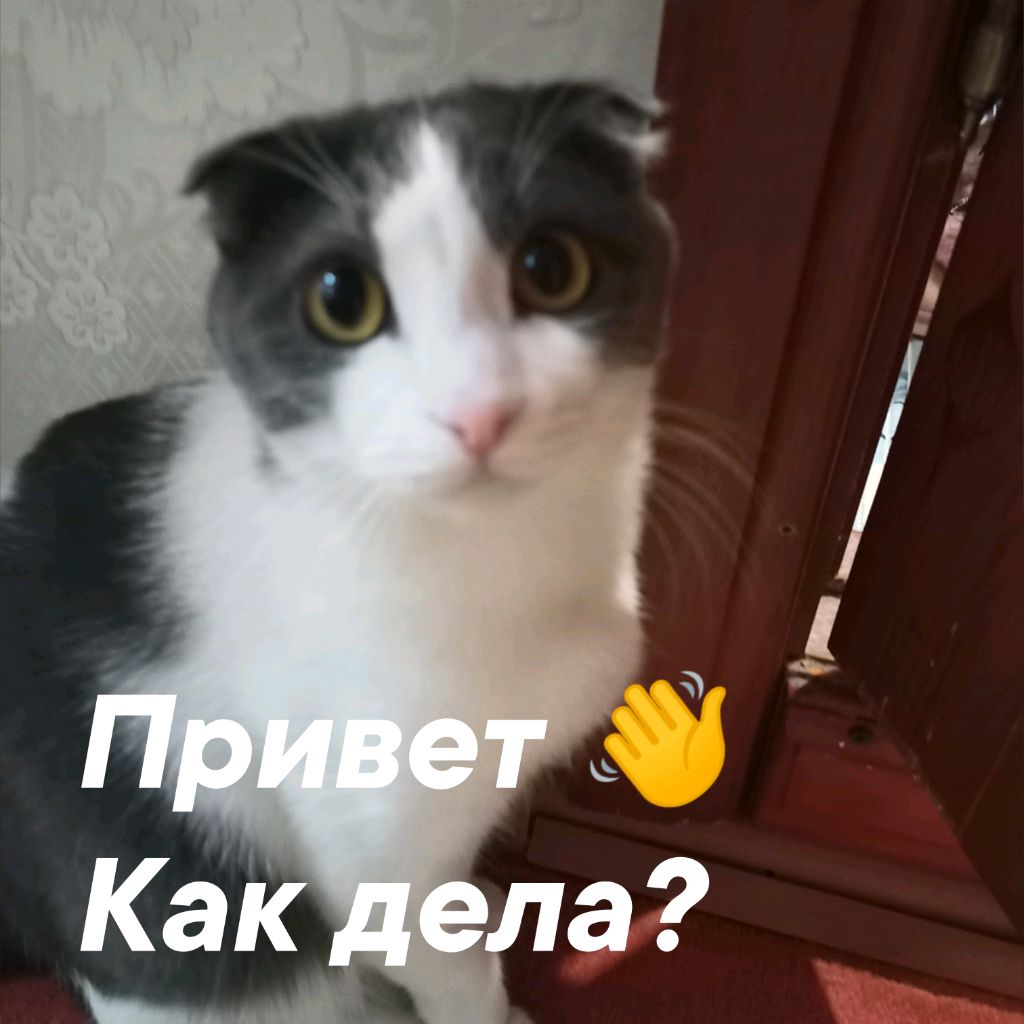 Иконка канала ВИДЕО_&_ИГРЫ