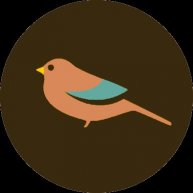 Иконка канала Дом традиционной вышивки ИВОЛГА