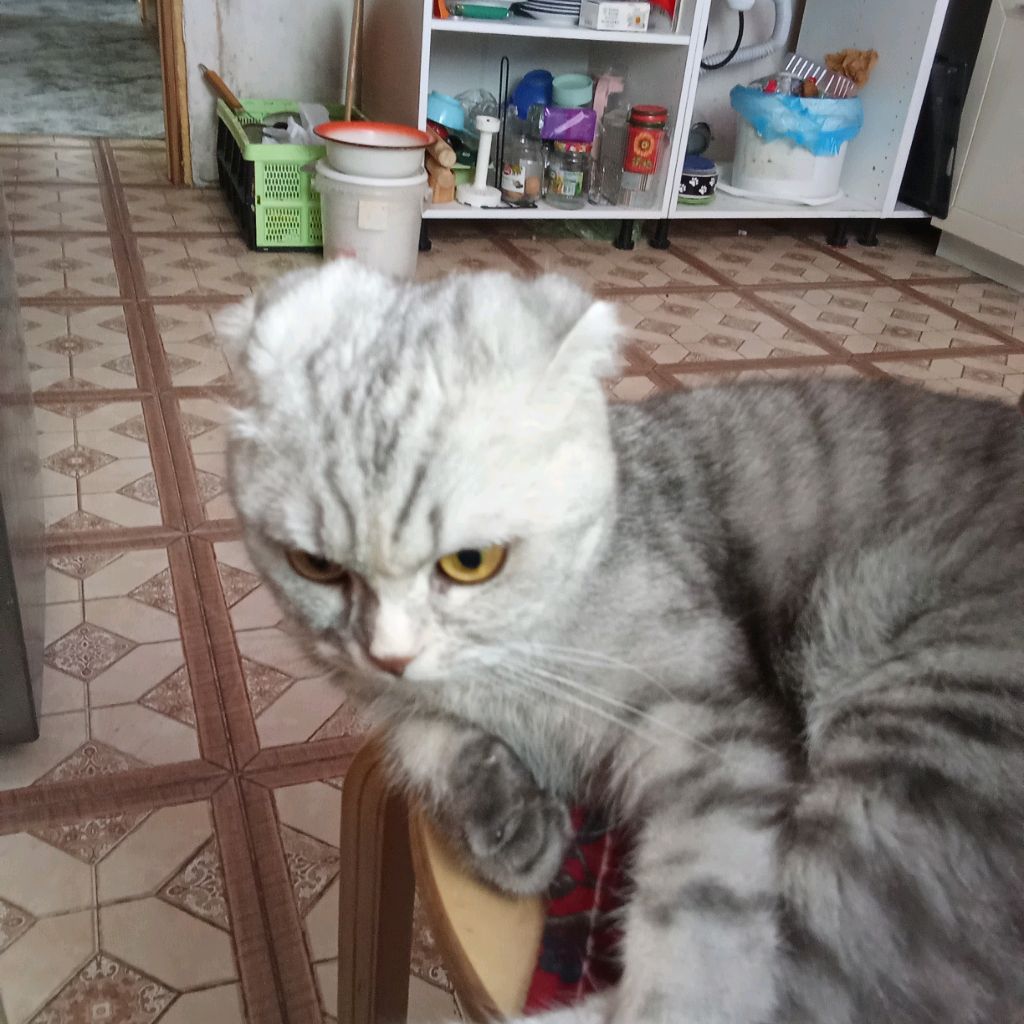 Иконка канала ДАМИРgames