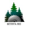 Иконка канала Деревообрабатывающее производство I ВЕТЛУГА ЛЕС