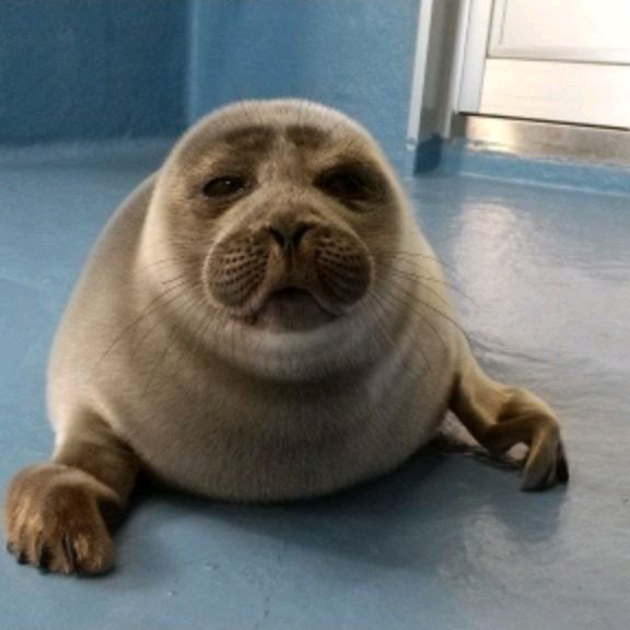 Иконка канала РЕАЛИЗАЦИЯ