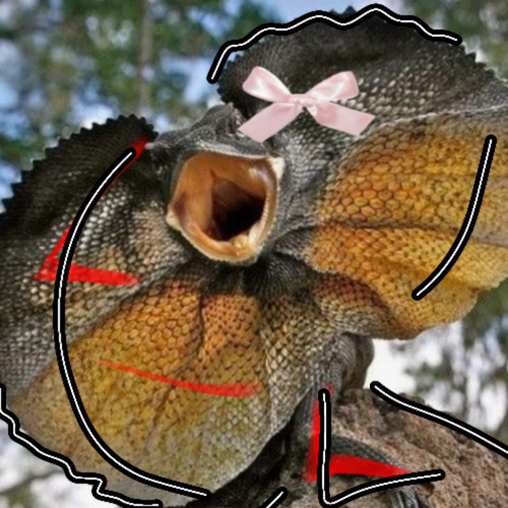 Иконка канала ★🦎Плащеносная ящерица🦎★