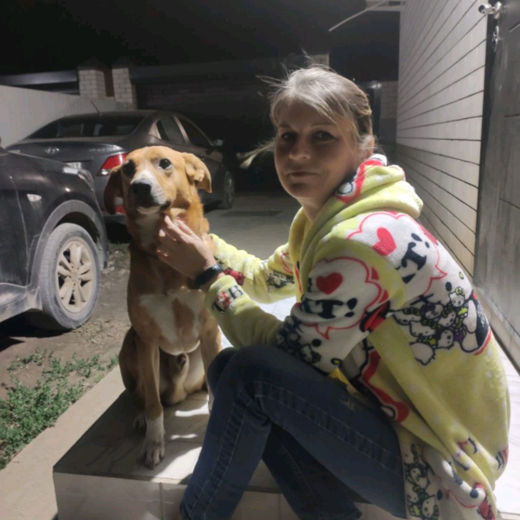 Иконка канала Будни Домохозяйки)