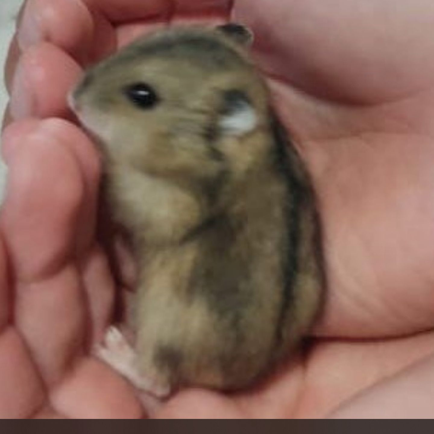 Иконка канала AgushaPlay222