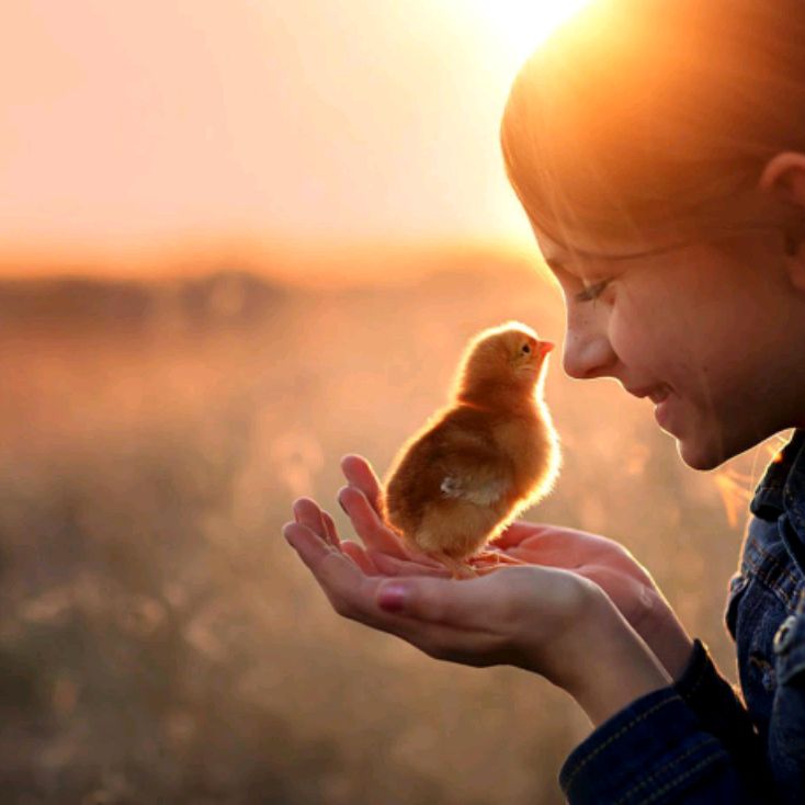 Иконка канала TechBlogger