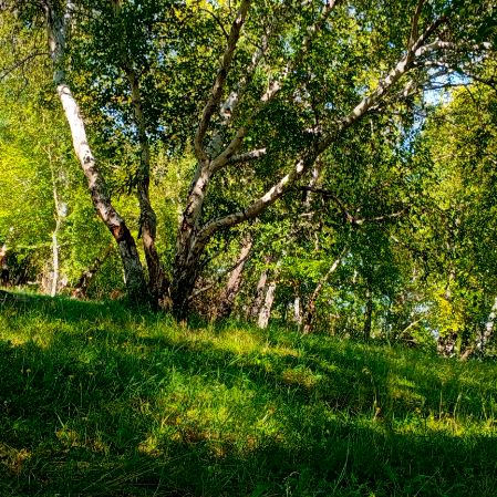 Иконка канала Valena