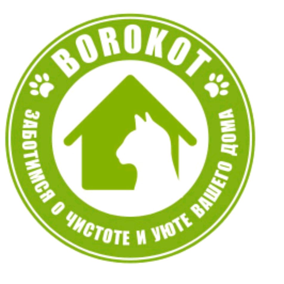 Иконка канала БОРОКОТ