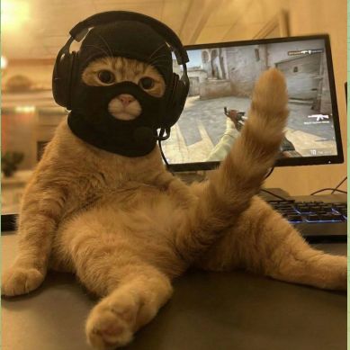 Иконка канала HAHACO