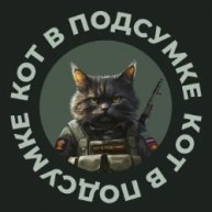 Иконка канала Кот в подсумке