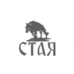 Иконка канала Стая дрессировка и воспитание собак