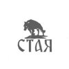 Иконка канала Стая дрессировка и воспитание собак