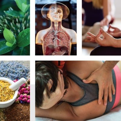 Иконка канала Экологичное здоровье с Татьяной Гармониум